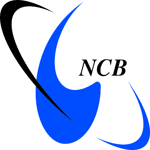 Media – Girls in ICT